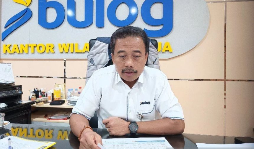 Bulog: Food Assistance Distribution in Papua Reaches 95 Percent – Suara ...